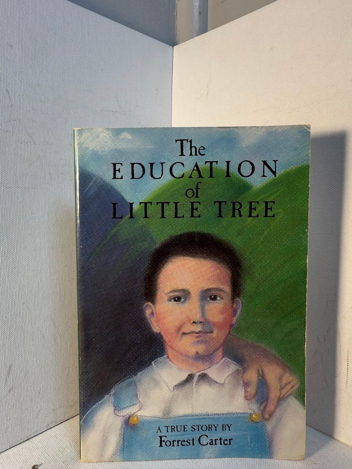 The Education of Little Tree by Forrest Carter – Revolving Books