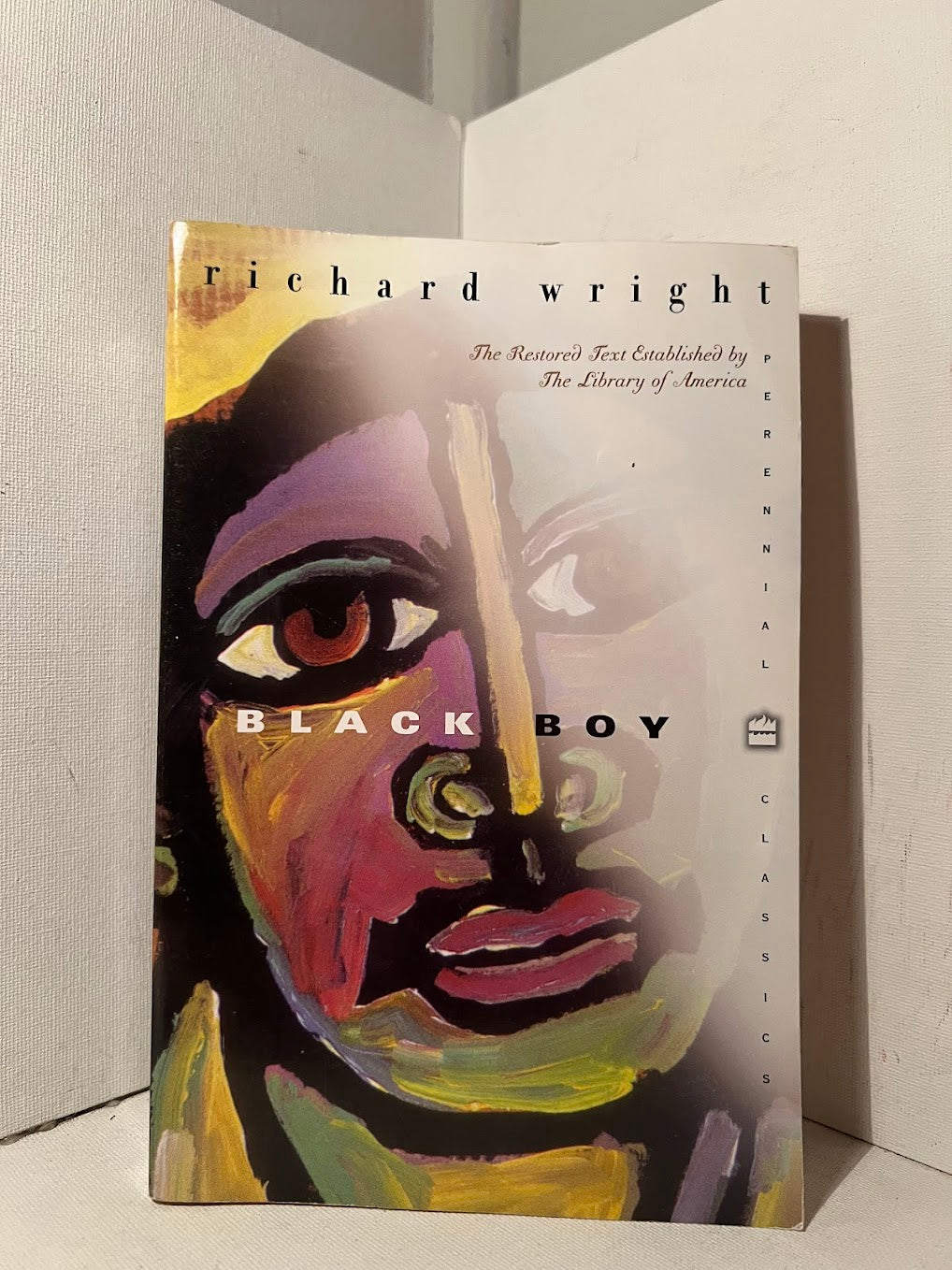 Black Boy by Richard Wright – Revolving Books