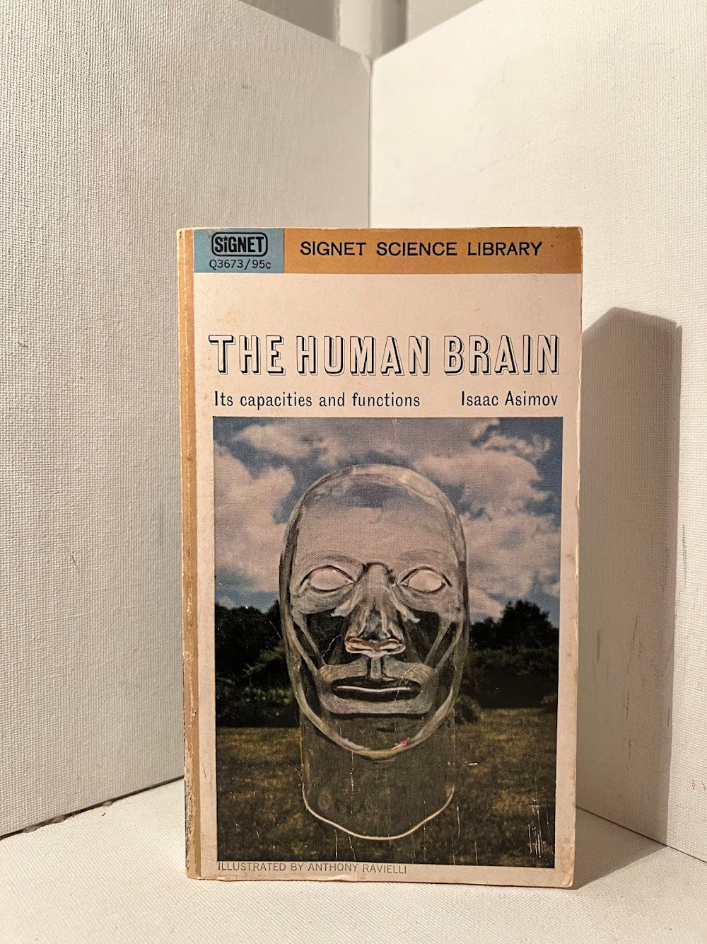 The Human Brain by Isaac Asimov – Revolving Books