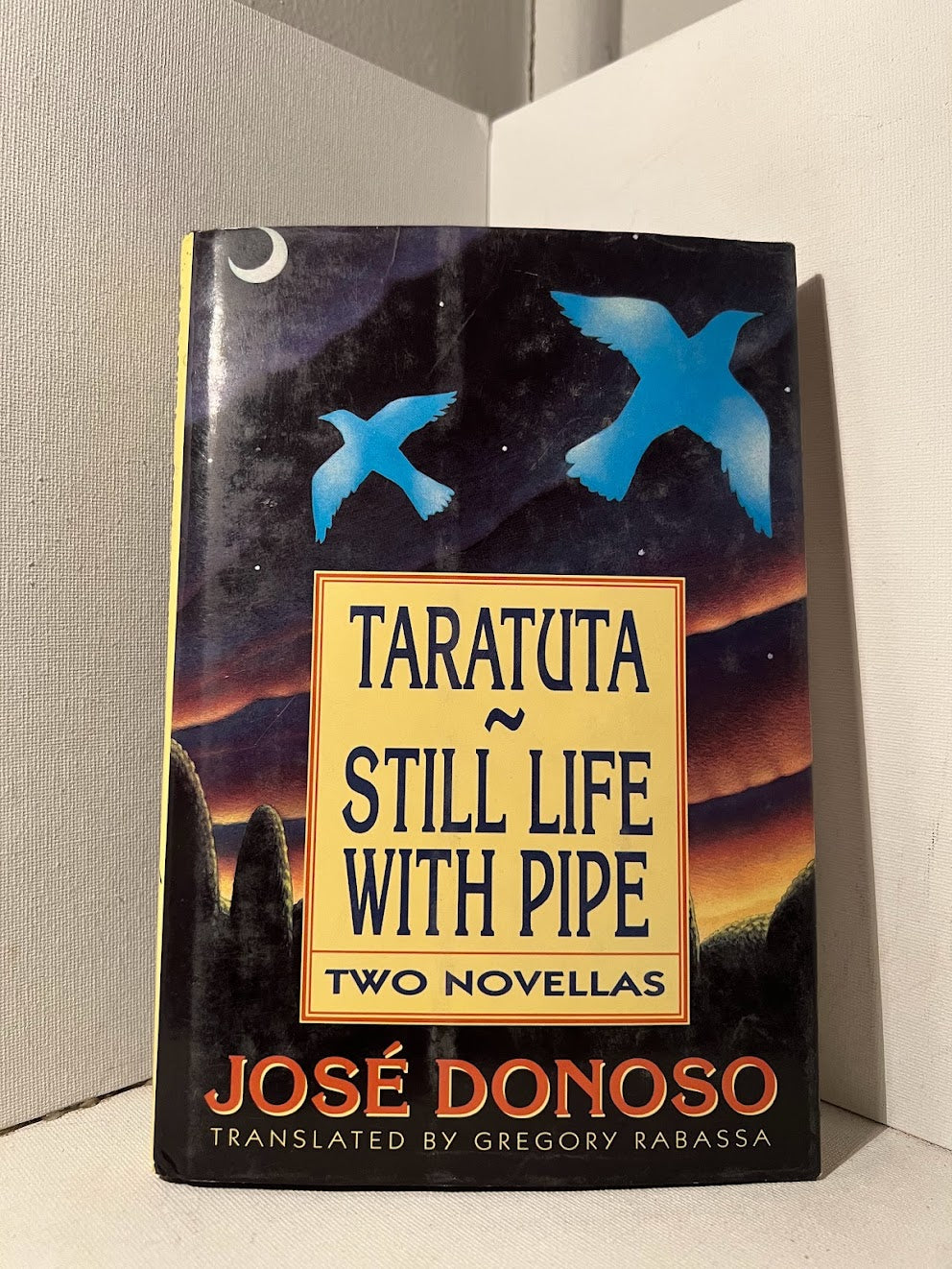 Taratuta - Still Life with Pipe by Jose Donoso – Revolving Books