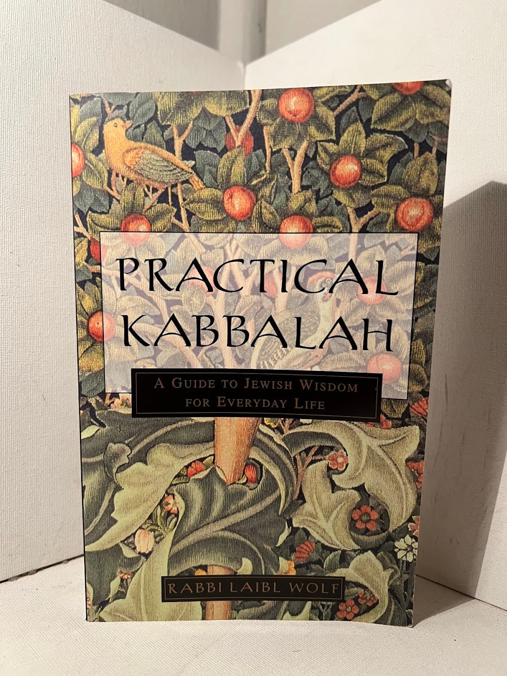Practical Kabbalah by Rabbi Laibl Wolf – Revolving Books