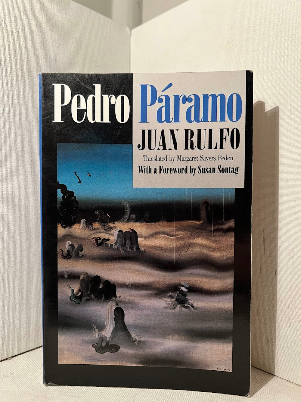 Pedro Paramo by Juan Rulfo – Revolving Books