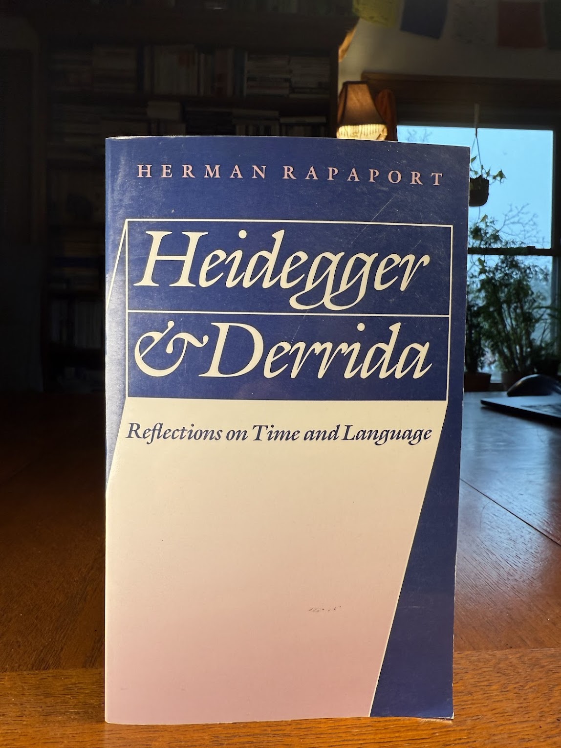 Heidegger & Derrida by Herman Rapaport – Revolving Books
