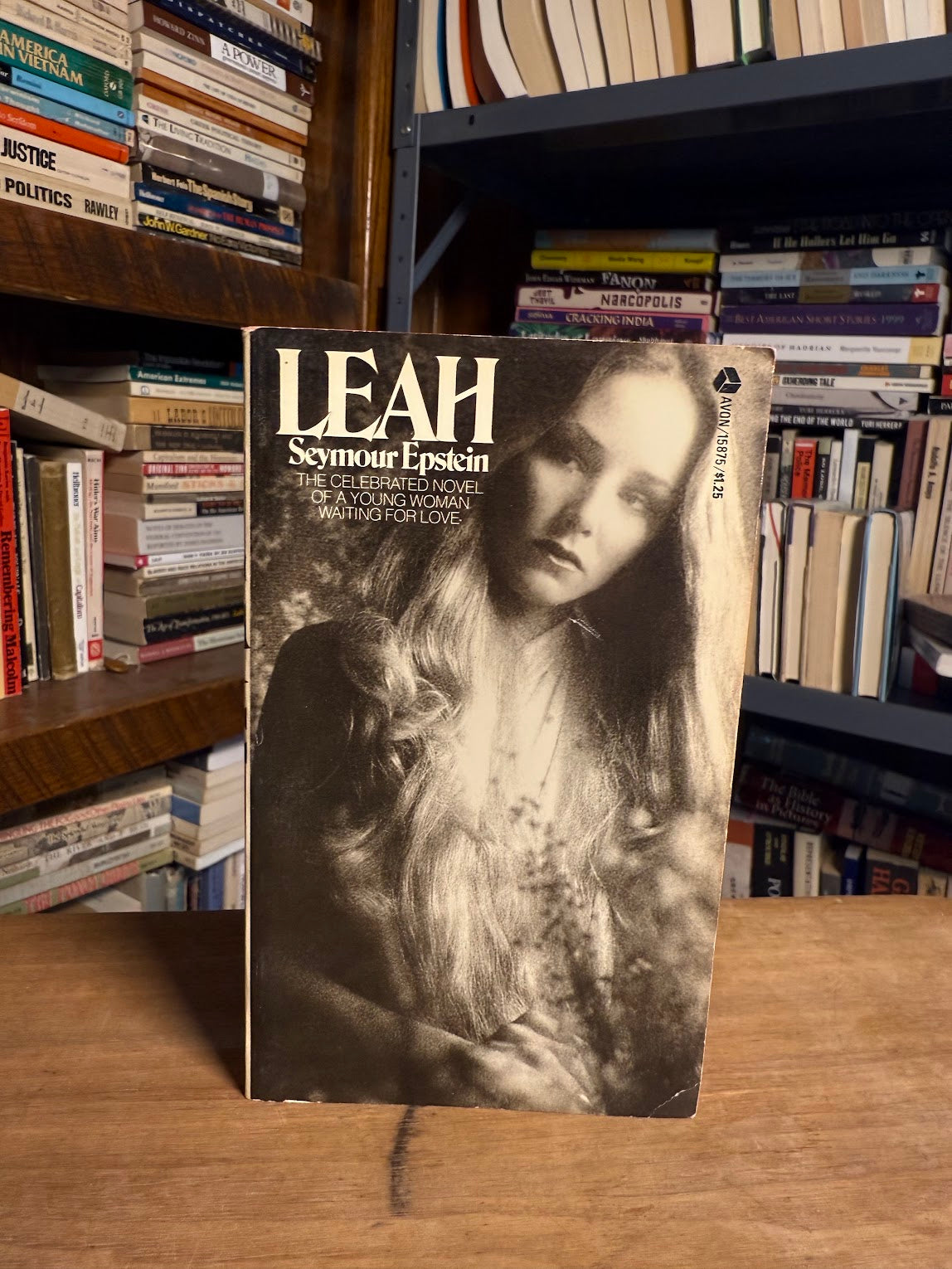 Leah by Seymour Epstein – Revolving Books