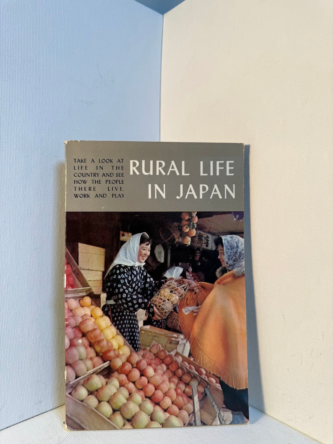 Rural Life in Japan – Revolving Books